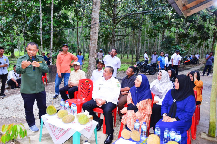 Wagubri Edy Natar Ajak Masyarakat Manfaatkan Lahan Tanam Sayur dan Buah ...